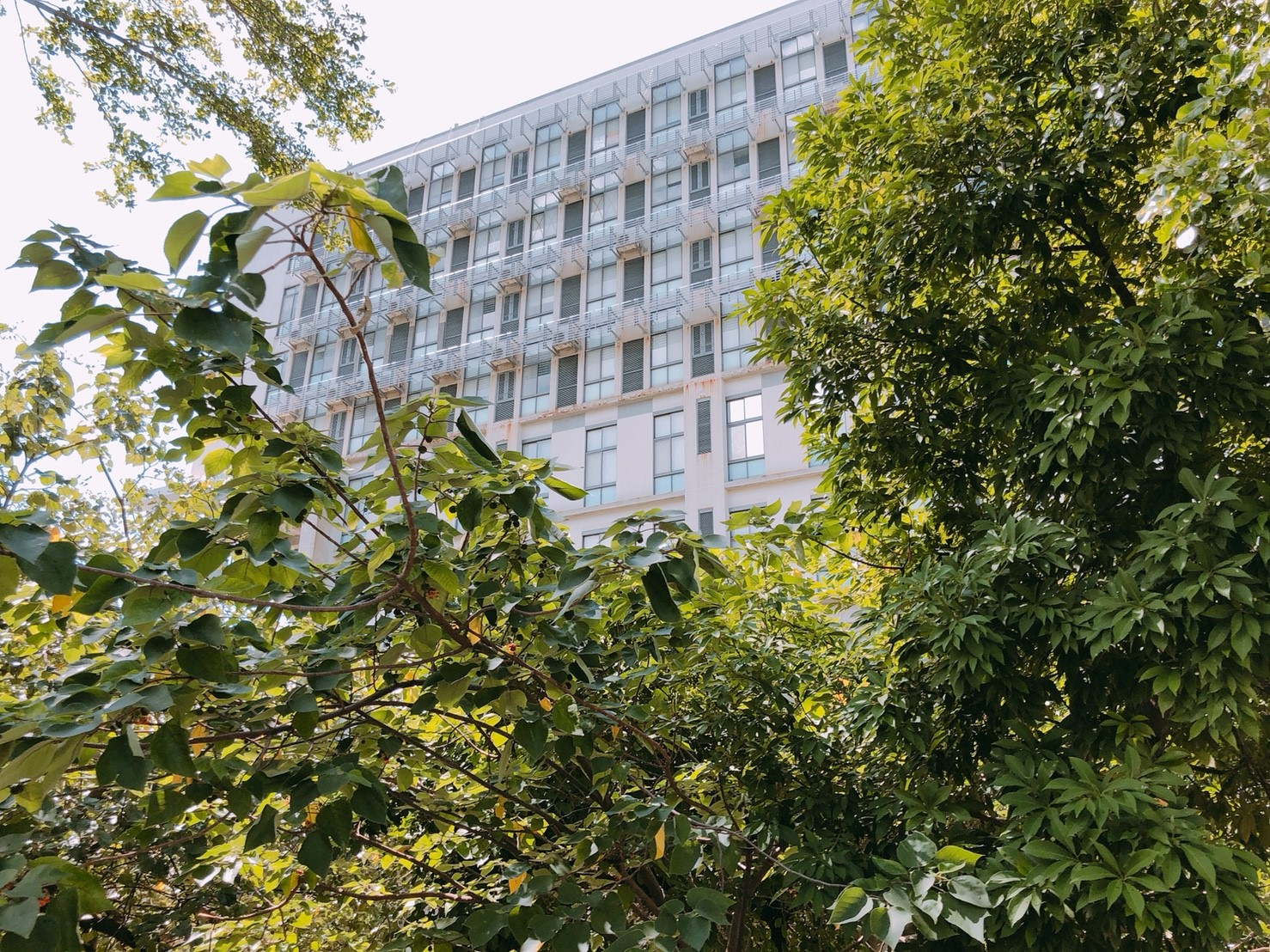 722小旅行_180723_0003 – oopsWu